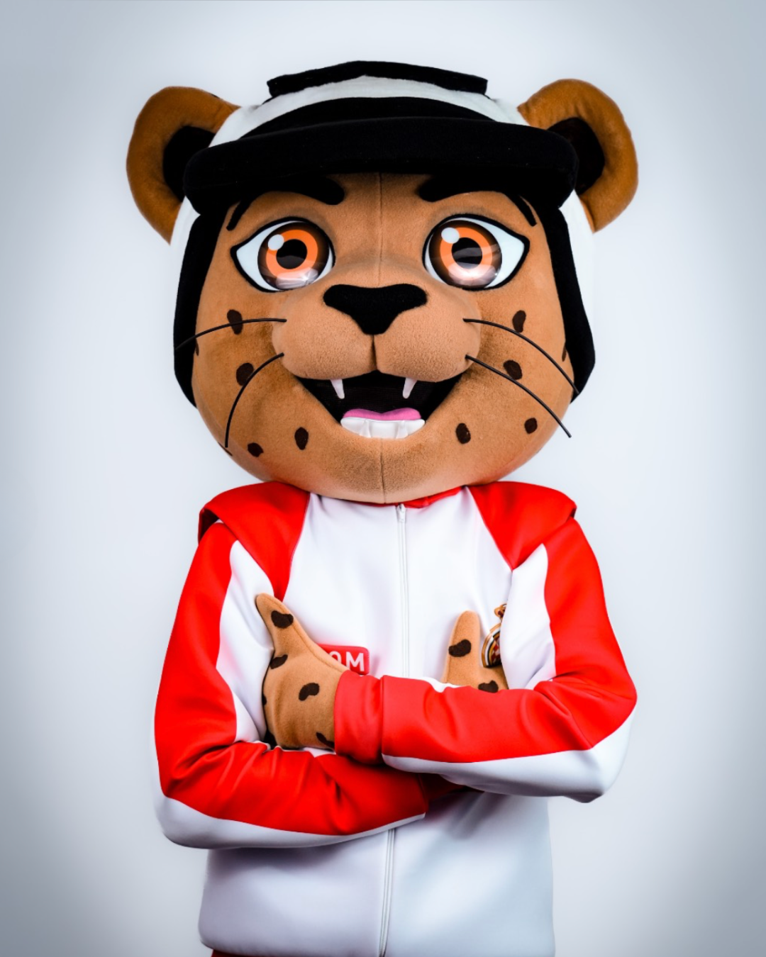 Mascotte sur mesure à Rennes : un atout pour votre communication ...